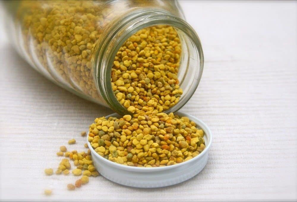 Arı Poleni Nedir? Faydaları ve Kullanımı! – Dynabeille Arı Ürünleri